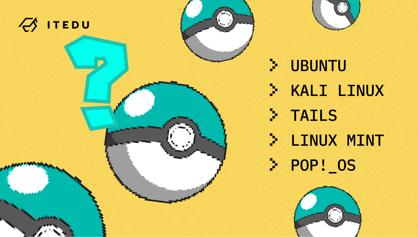 Популярні дистрибутиви Linux на 2024 рік.